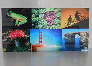 Dye Sublimation Aluminum - Lawrence & Frederick